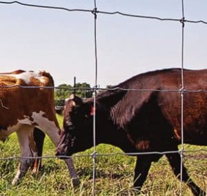 Agricultural Fencing Products from STAY-TUFF