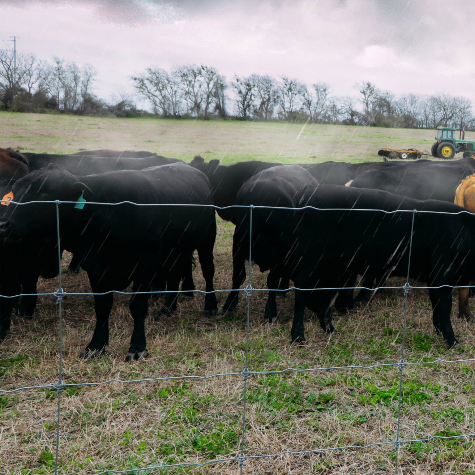 Stay-Tuff | The Best Fixed Knot Fencing Solutions