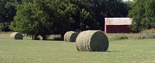 Luling Foundation 96th Annual Field Day - Stay Tuff Fence