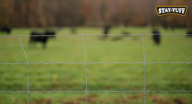 What is the difference between high tensile and low low carbon wire?