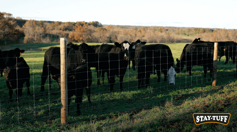 How to Build a Cattle Fence: A Step-By-Step Guide | Stay-Tuff