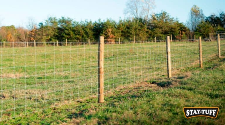 The H Brace Fence Explained | Stay-Tuff