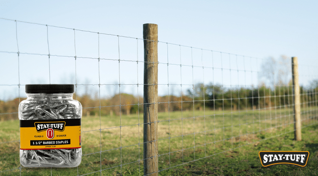 What staples to use for fencing - Stay Tuff Fence