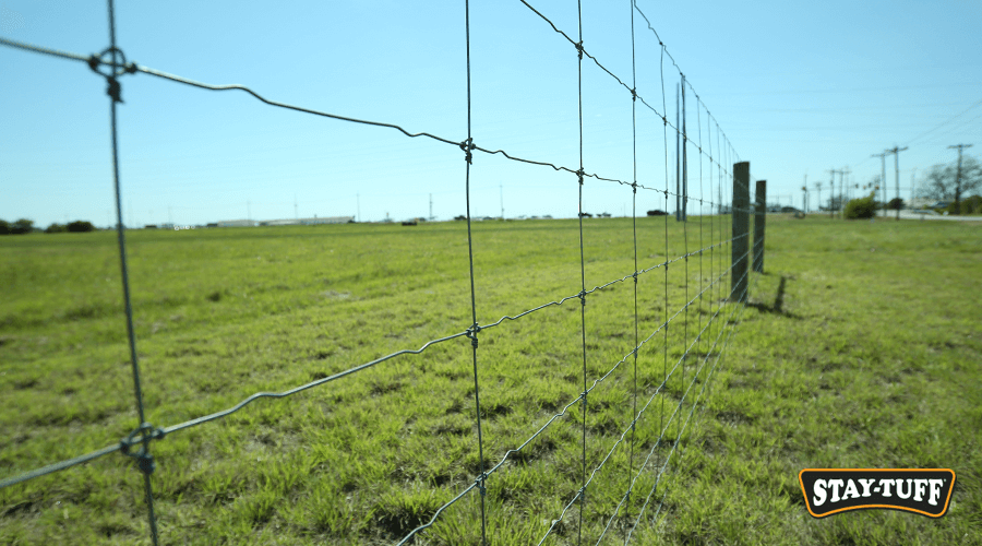 Where to buy livestock fencing - Stay Tuff Fence