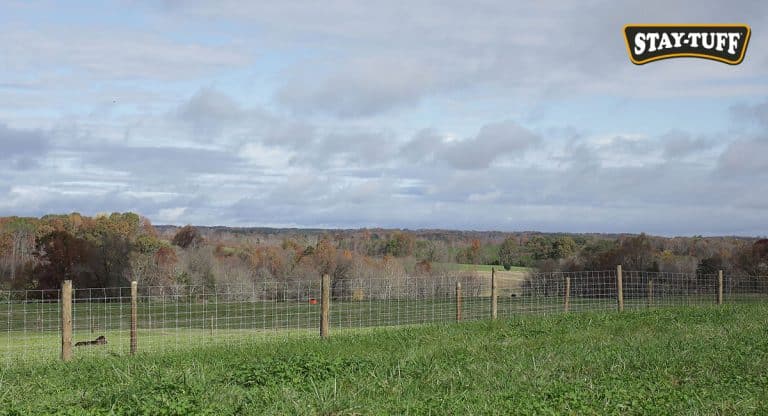 Stay-Tuff | Superior Fence Products