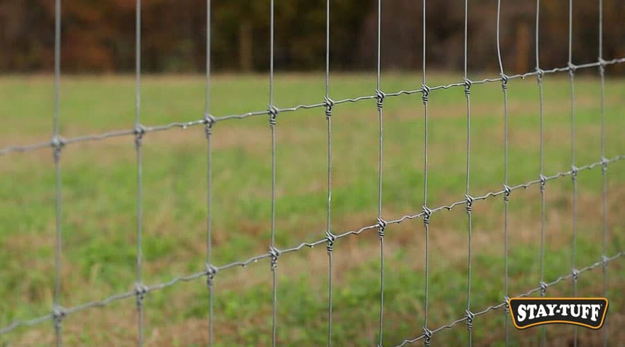 How To Choose A Dog Fence Wire: Types and Benefits - Stay Tuff Fence